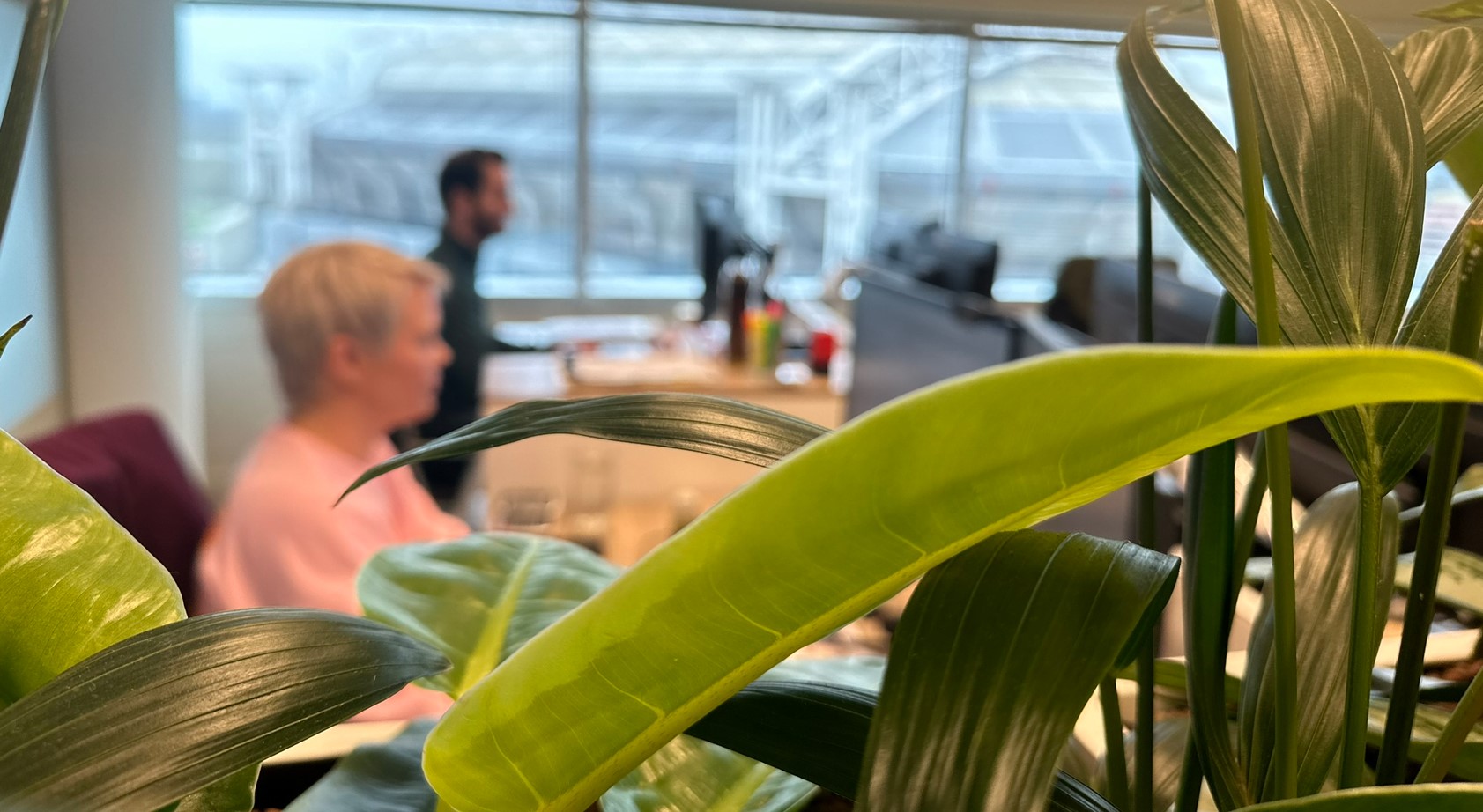 Our Company | Premium Oils