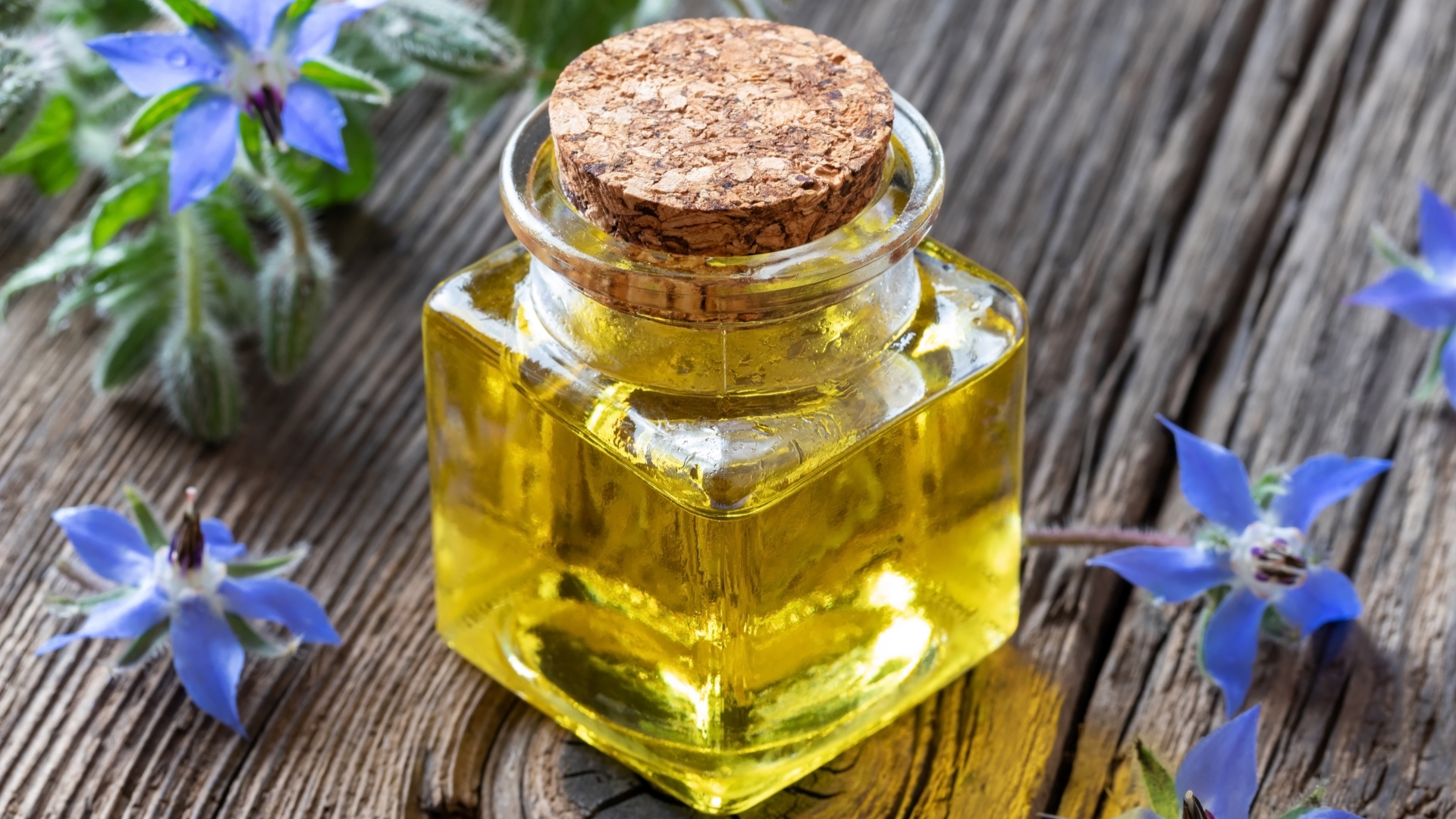 Homepage | Premium Oils